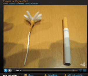 Gimme a flower of a cigarette … - DesignFlute